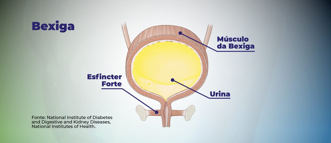 VOCÊ JÁ OUVIU FALAR NA BEXIGA NEUROGÊNICA? | ma.hospitalar
